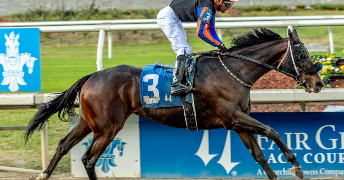 Rising Inflation, Mr. Mo Money Victorious In Opening Day Stakes At Fair Grounds - Paulick Report ...