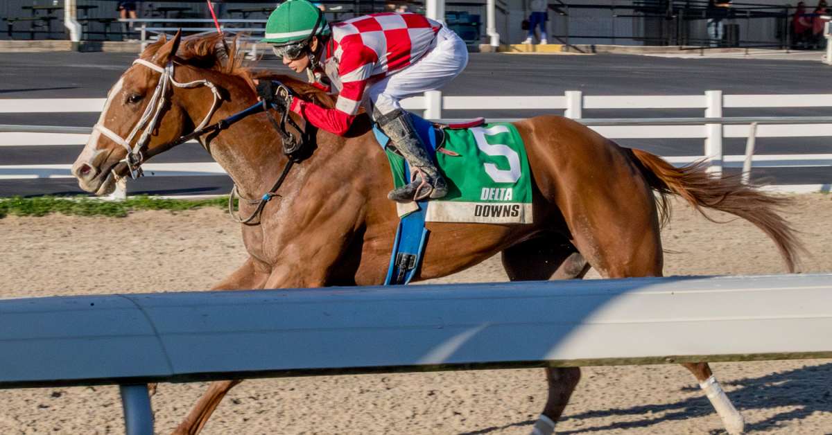 Pashmina, Actis Among Eight Fillies For Untapable - Paulick Report ...