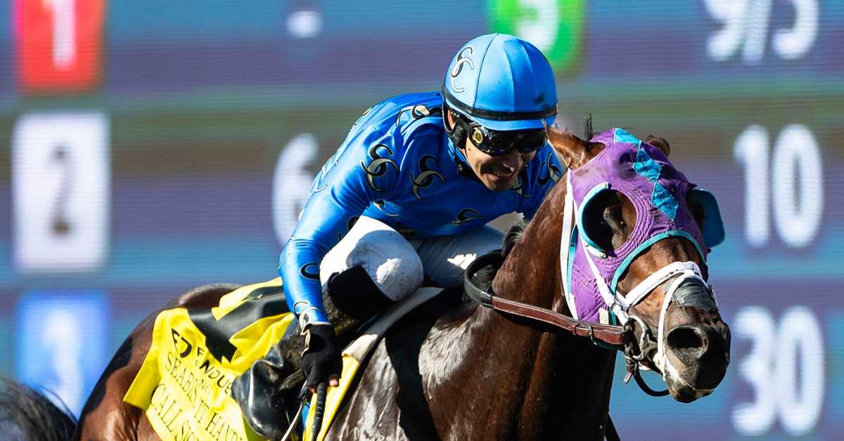 Call Sign Seven Springs $139 Seabiscuit Shocker - Paulick Report ...