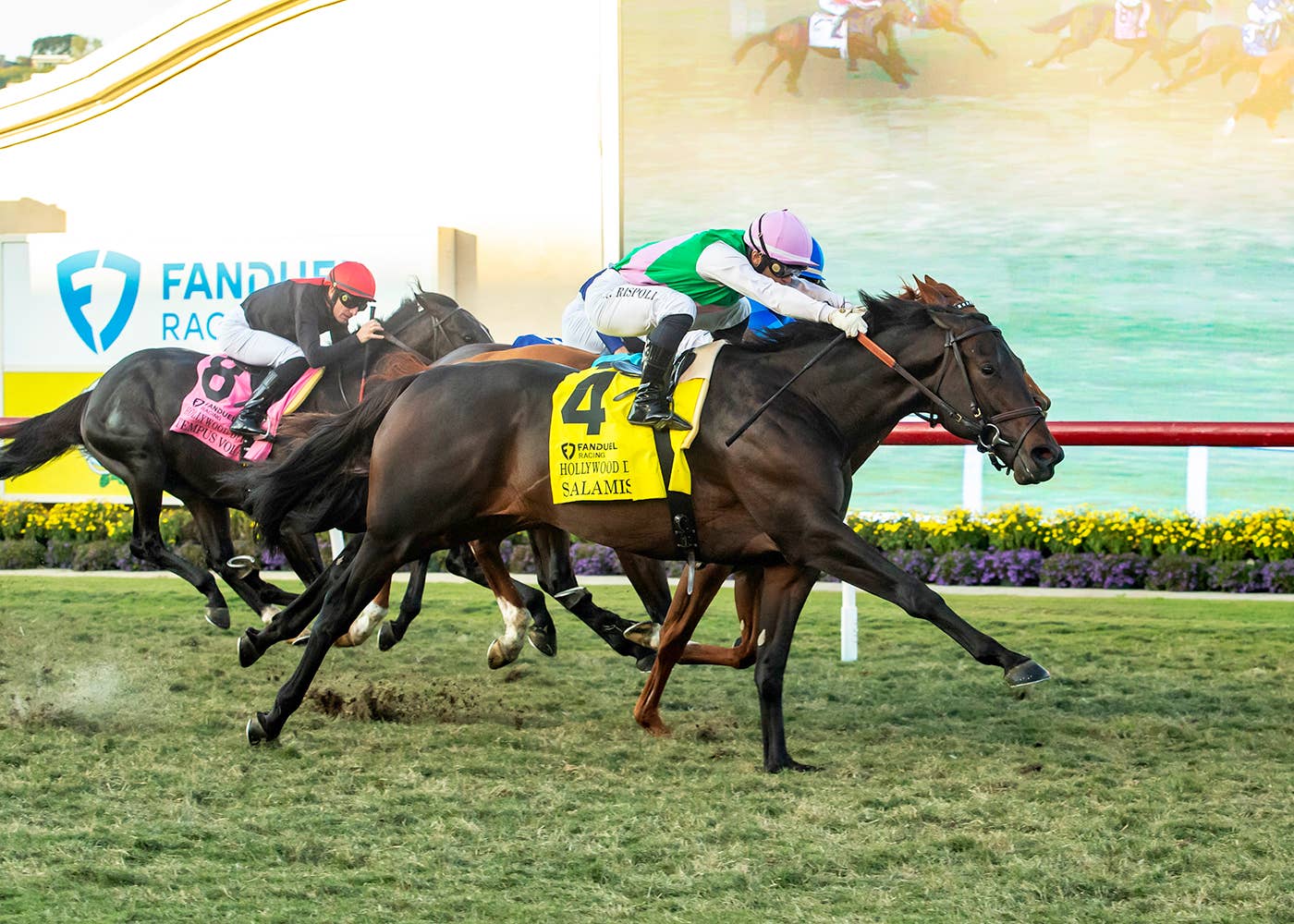 Chad Brown Lands Record Fifth Hollywood Derby Victory With Salamis ...