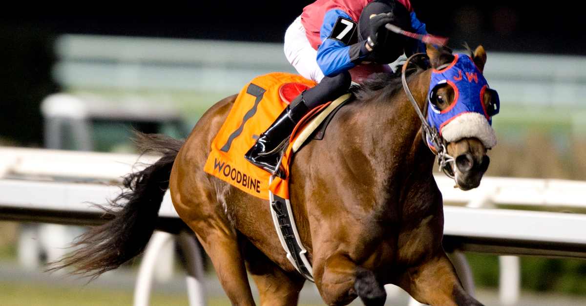Fire and Wine Romps To Front-End Win In Coronation Futurity - Paulick ...