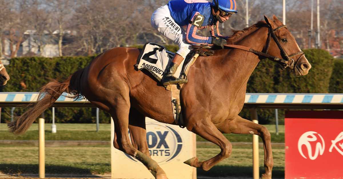 'Couldn’t Be More Excited': Chad Brown-Trained Paladin Proves Best In ...