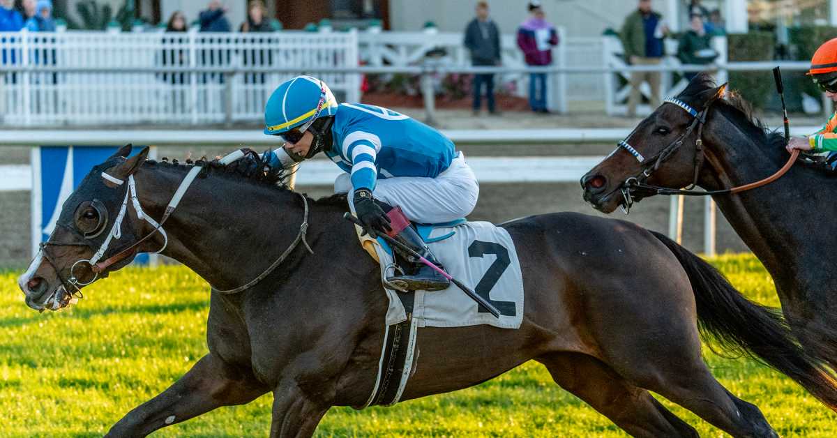 Six-Figure Claim Kupuna Faces Gigante In Buddy Diliberto Memorial ...