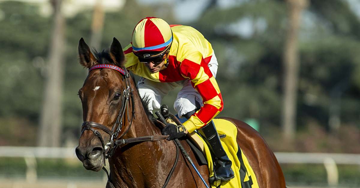 Queen Of The Mud Successfully Ships West To Win Monday's Swingtime ...