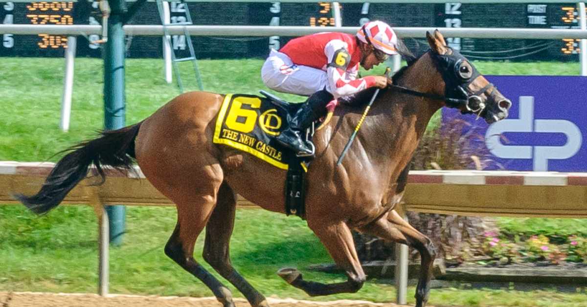 Spikezone Chasing Ninth Win Of 2024 On Delaware's Closing Day Card ...