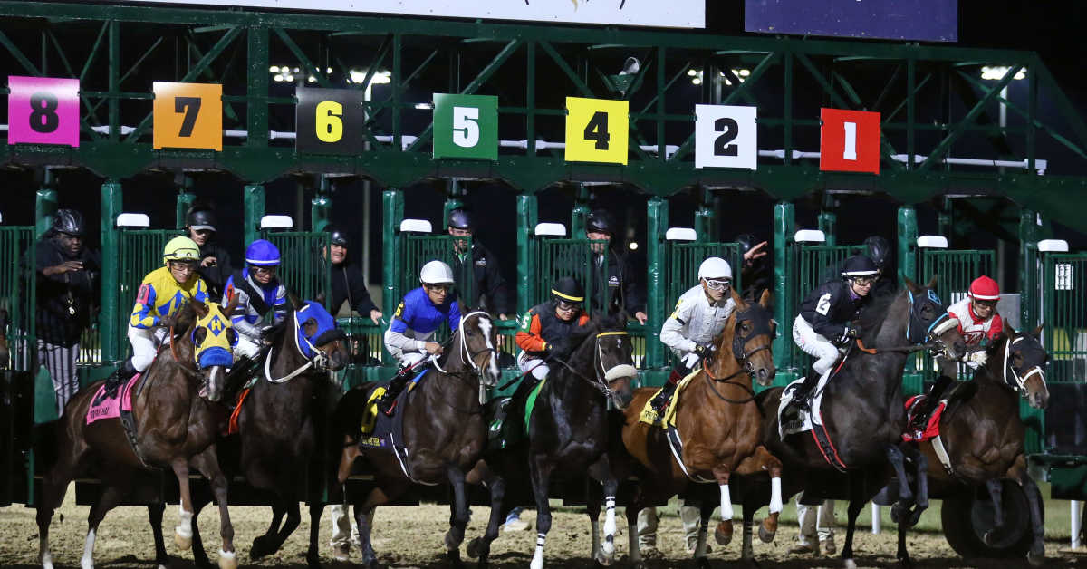 Turfway Park Handicapping Championship Offers $10,000 Prize Pool, KDBC ...