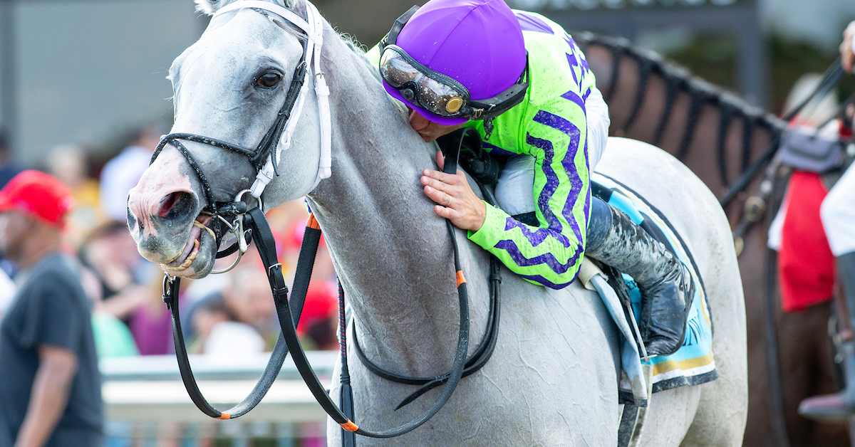 'He's Made Us All Proud': Next Enters Classic On Seven-Race Win Streak ...