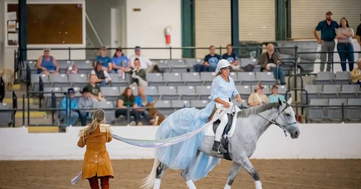 Cinderella Story: You Won’t Believe What This Thoroughbred Can Do ...