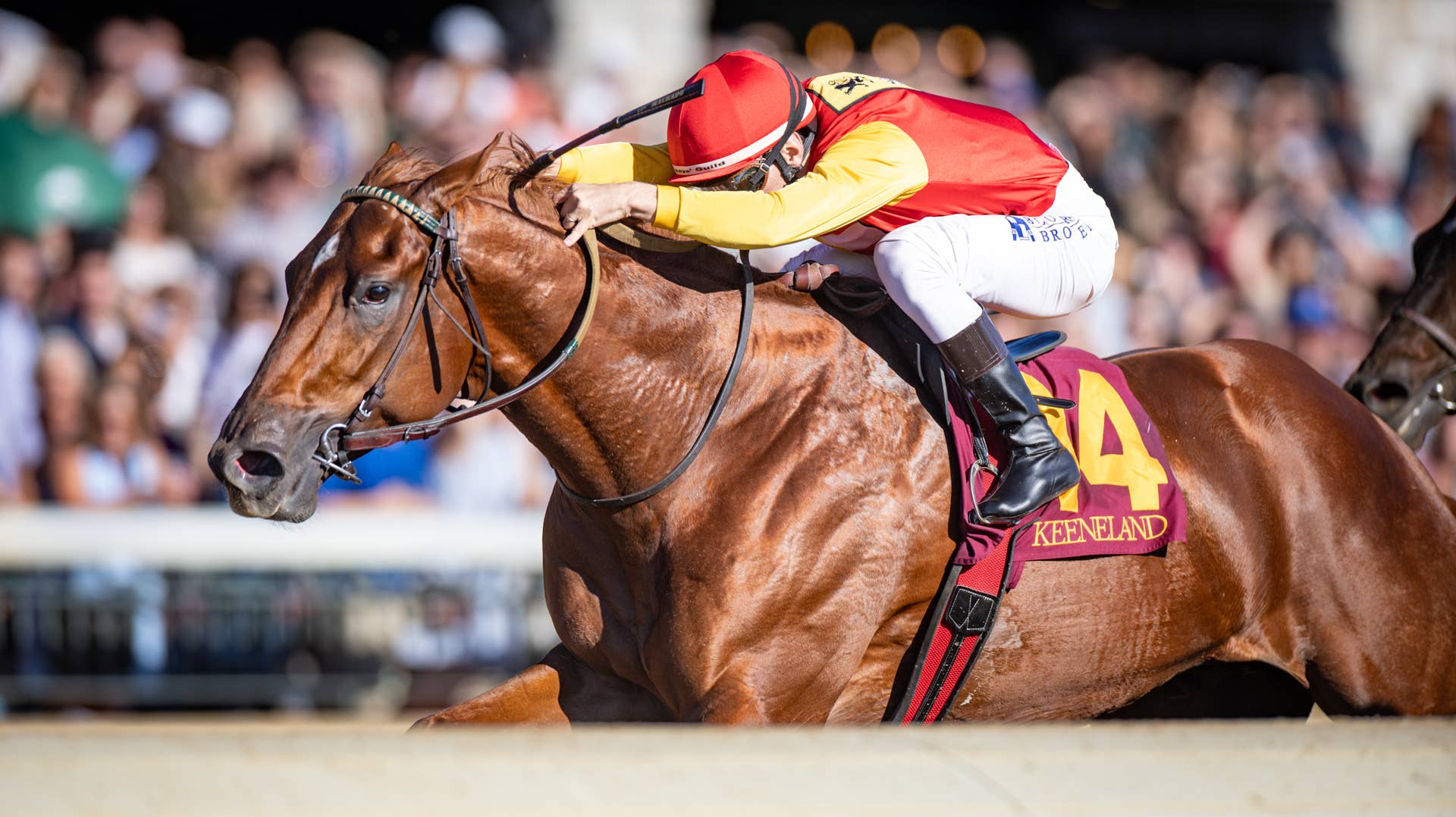 Upsetter Brunacini Scores Emotional Win In Perryville - Paulick Report ...