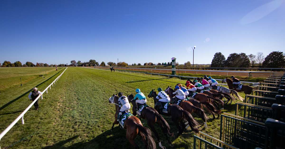 NTRA Commends Committee Passage Of Tax Bill Containing '100 Percent ...