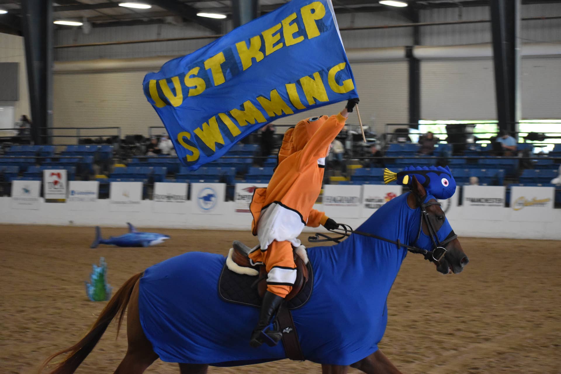 For This Thoroughbred With Kissing Spines, The Motto Is ‘Just Keep ...