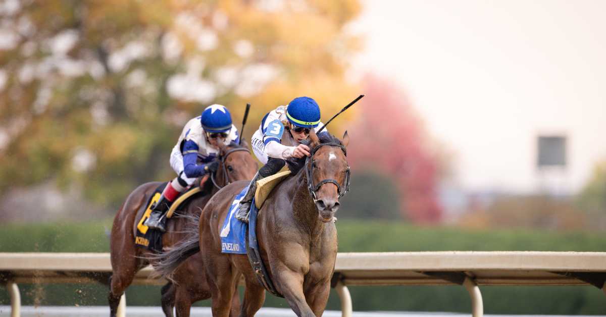 Echo Sound 'Has Answered Every Question,' Remains Undefeated In Myrtlewood - Paulick Report ...