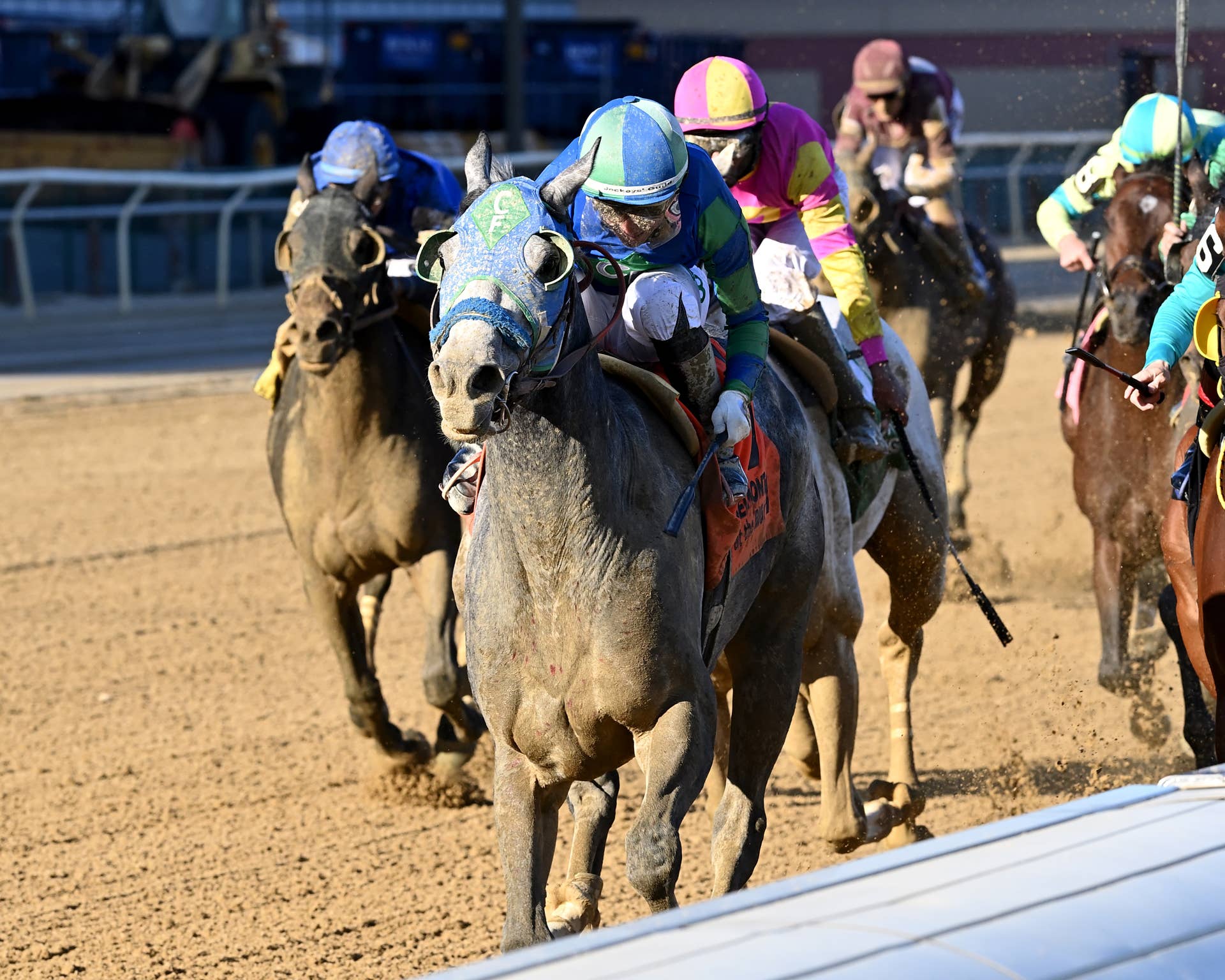 'He Relaxed Perfectly': Coastal Mission Rolls To Victory In Forty Niner ...