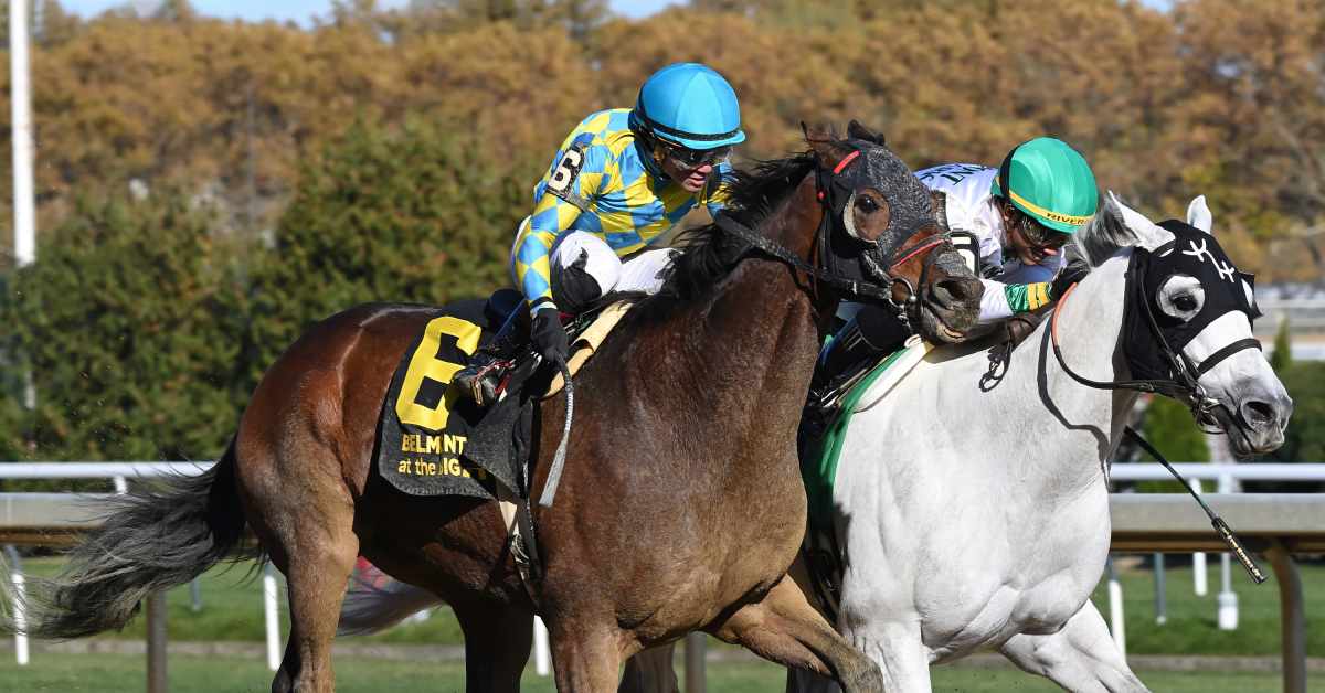 Runninsonofagun Lands Bold Ruler On DQ - Paulick Report | Latest news ...