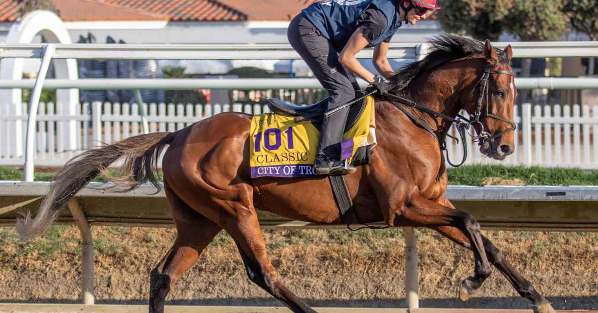 'We Think He's As Bulletproof As We Can Have Him': City Of Troy Ready ...