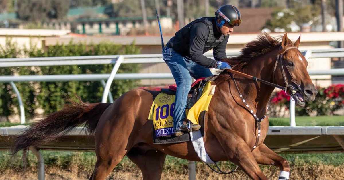 Equibase Analysis: Ultra Power Could Prove Dominant in Native Diver ...