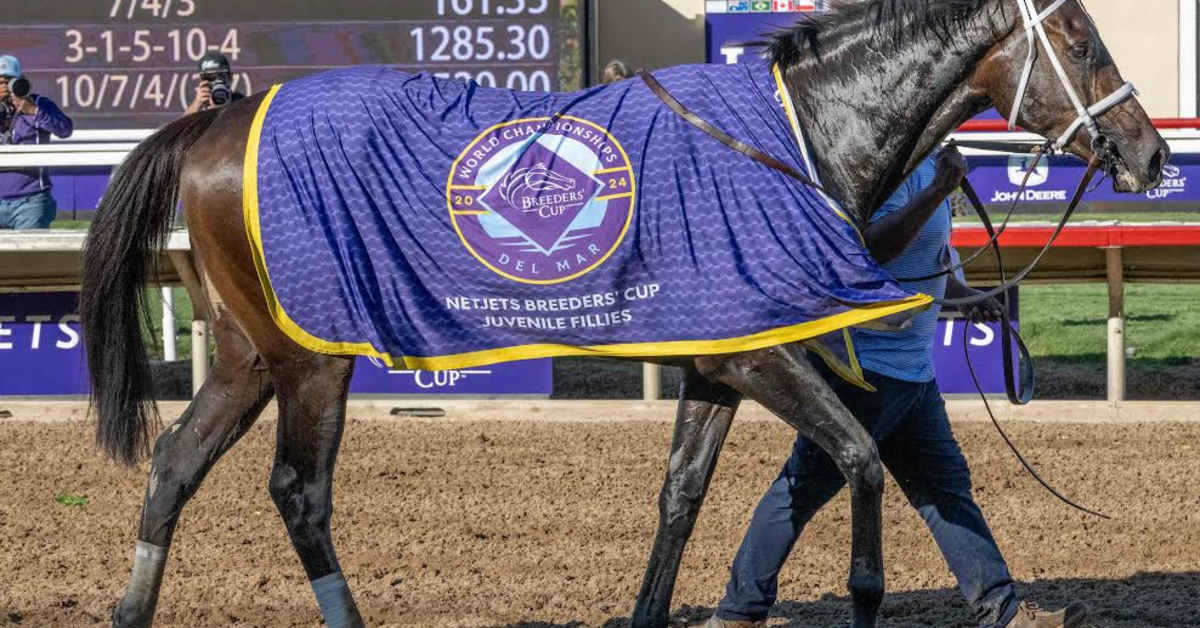 Godolphin Honored As National Owner, Breeder Of 2024 At TOBA Awards ...