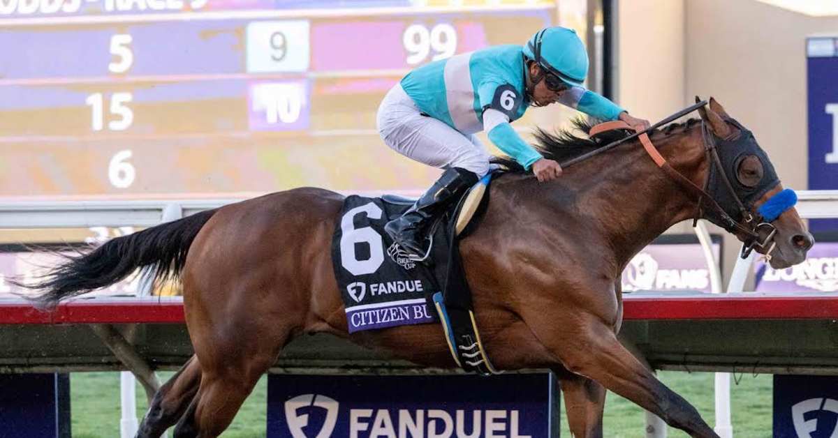 Kentucky Derby Pedigree Corner Presented By Zycosan: Citizen Bull ...