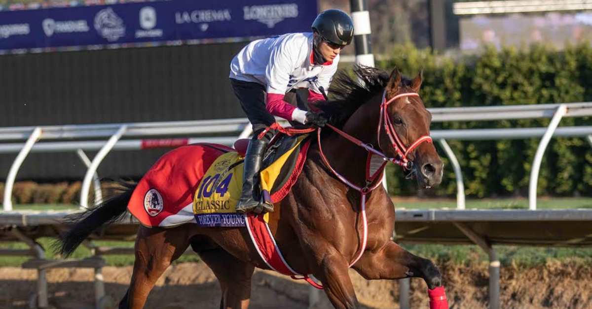 Breeders’ Cup Classic Buzz: Forever Young Puts In ‘Perfect’ Final Work ...