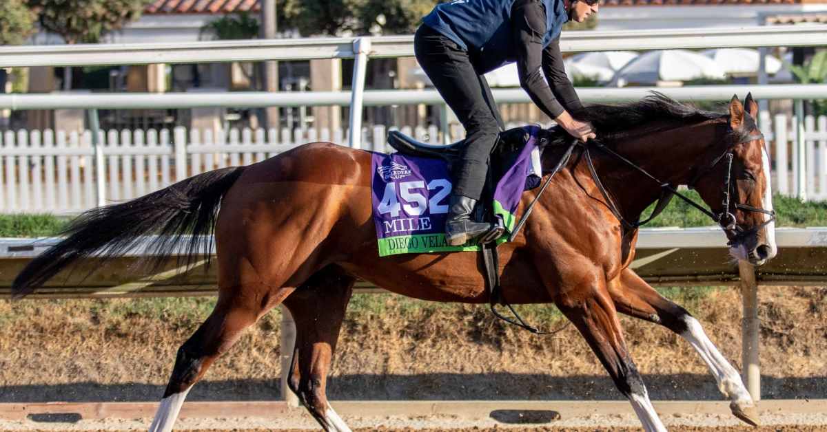 Sam Sangster’s Diego Velazquez Leads Turf Mile, Ted Noffey Returns In ...