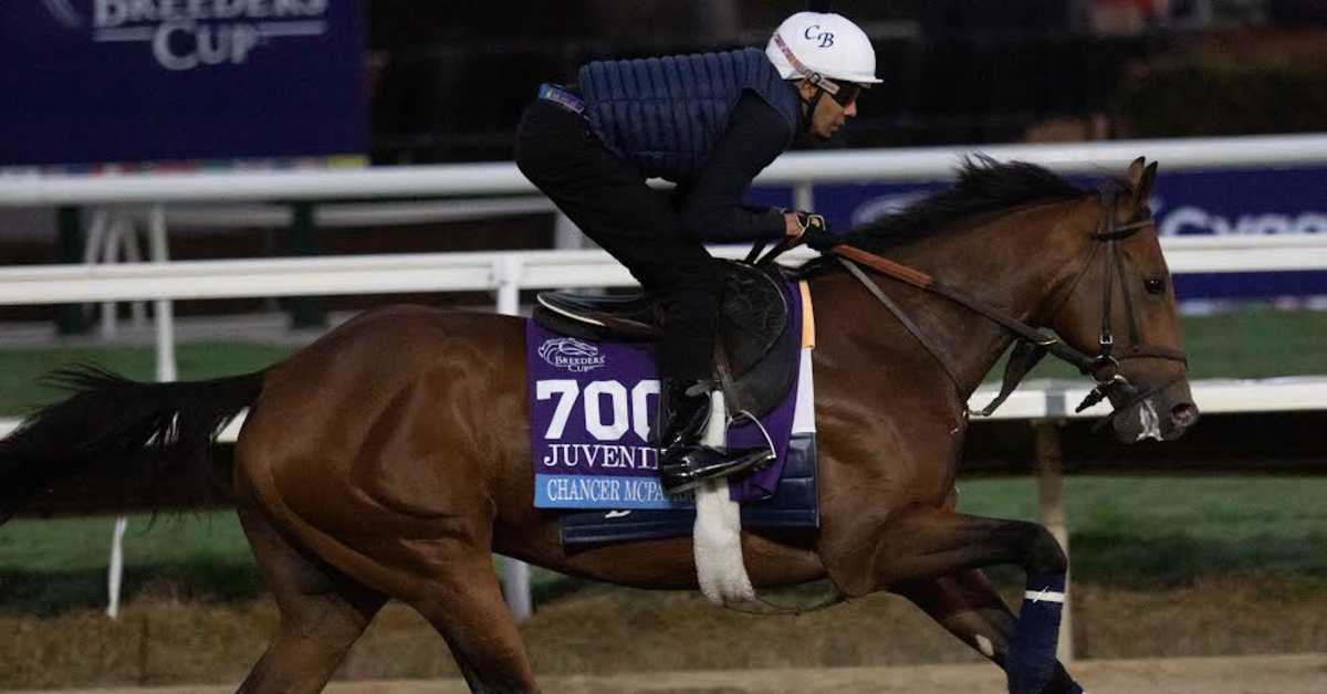 Triple Crown 'Gamble': Brown Hopes Chancer McPatrick Has Enough Time ...