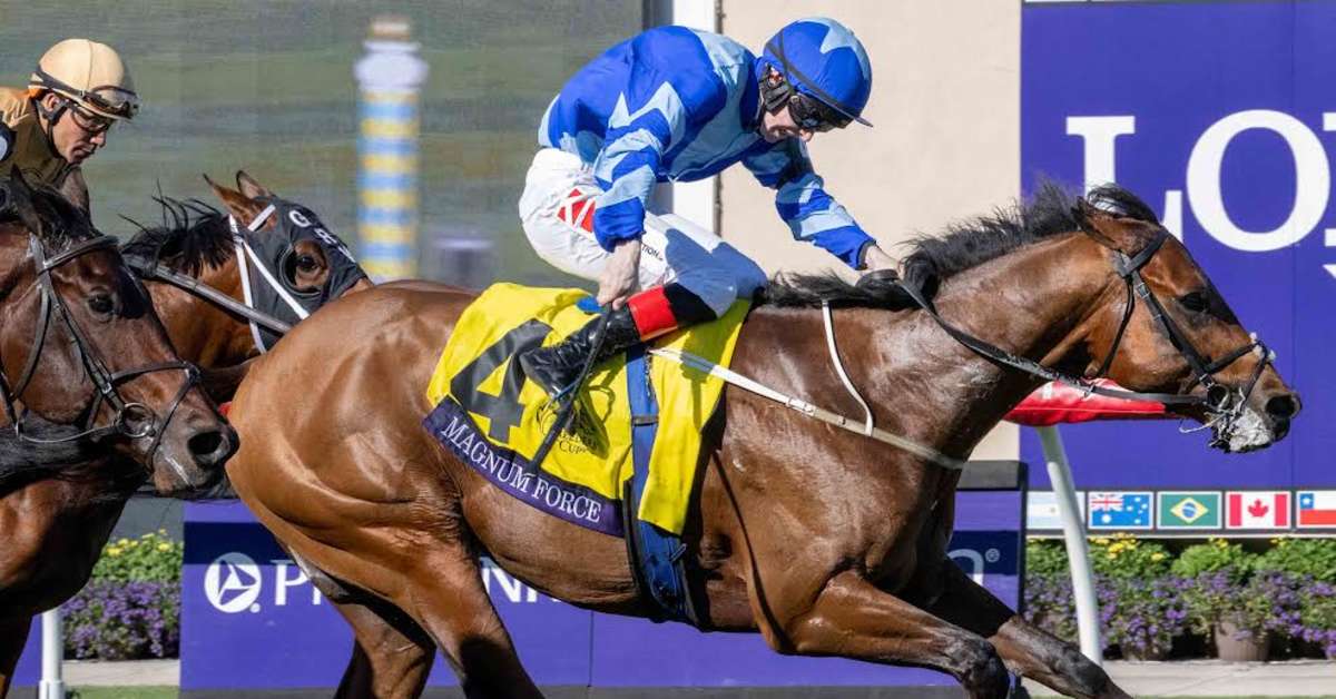 Colin Keane Could Cap 'Brilliant Year' In Hong Kong International ...