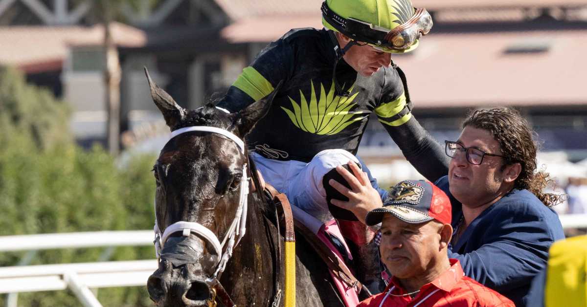 Drayden Van Dyke Caps Comeback With 19-1 Longshot Soul Of An Angel In ...