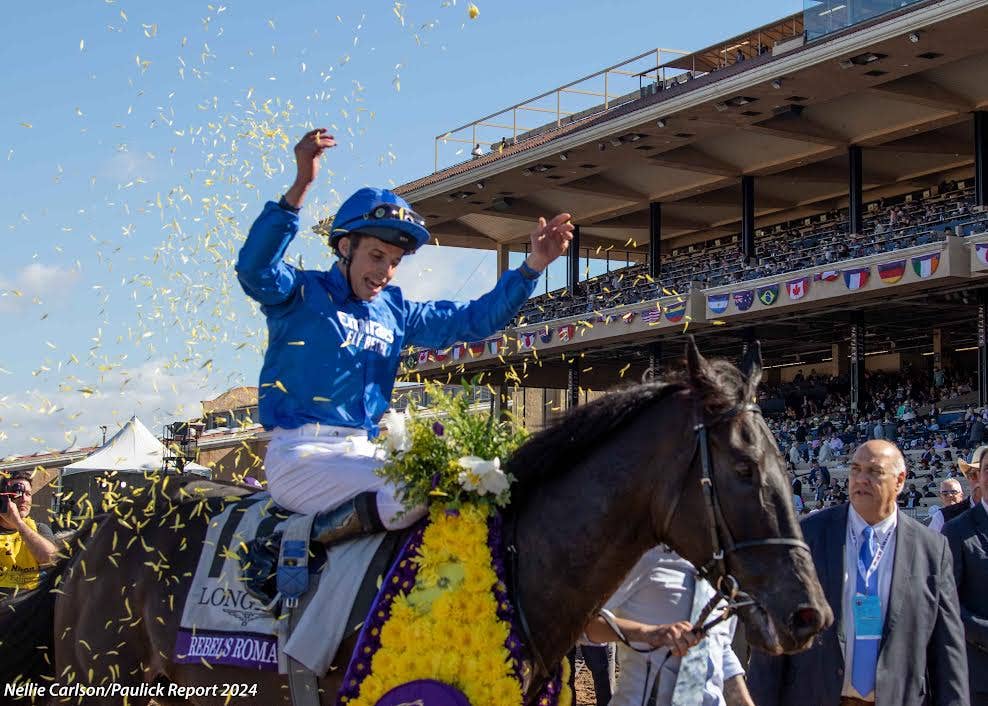 ‘Fully Developed Racehorse’ Rebel’s Romance Aiming For Breeders’ Cup ...