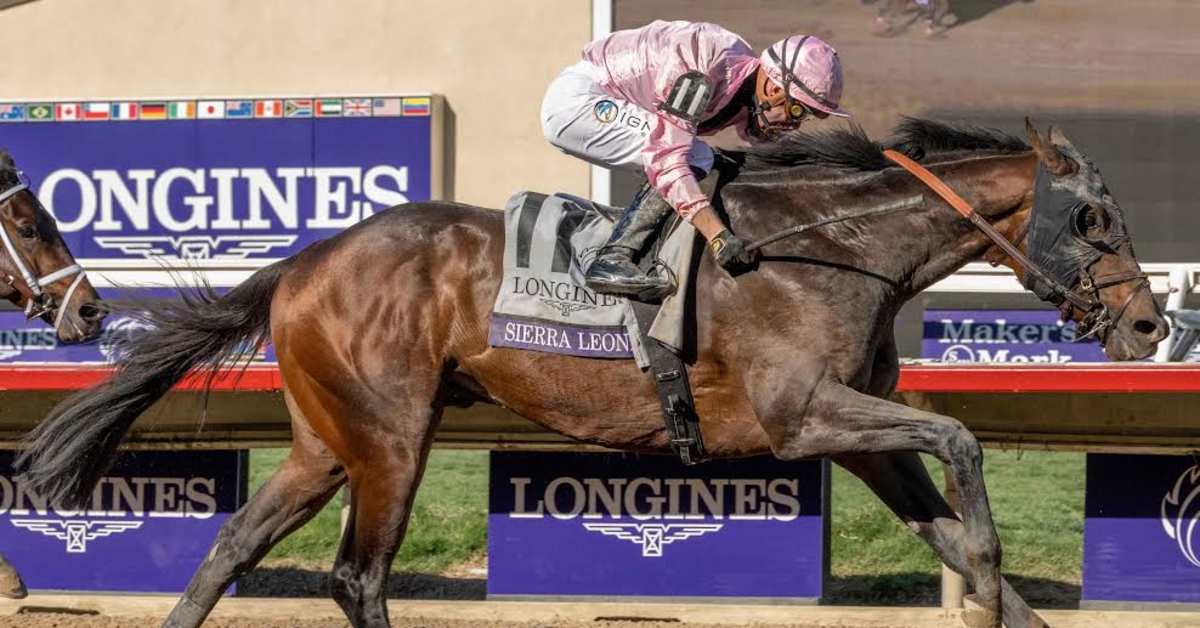 Sierra Leone, Contrary Thinking Tune Up For Whitney - Paulick Report ...