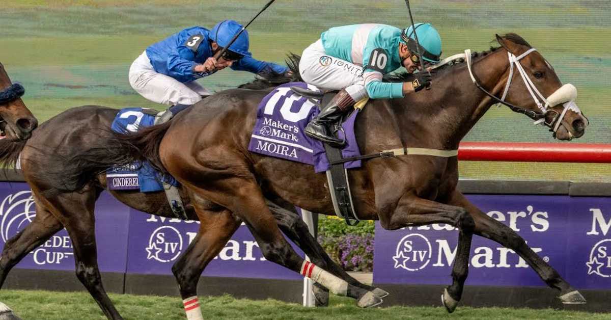 'These Are The Things You Dream About As A Kid': Moira's Third Try The ...