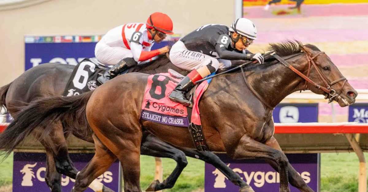 WinStar Farm Lands Breeding Rights To Champion Straight No Chaser ...