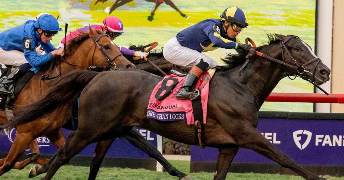 Breeders' Cup Mile Winner More Than Looks Retired To Lane's End For ...