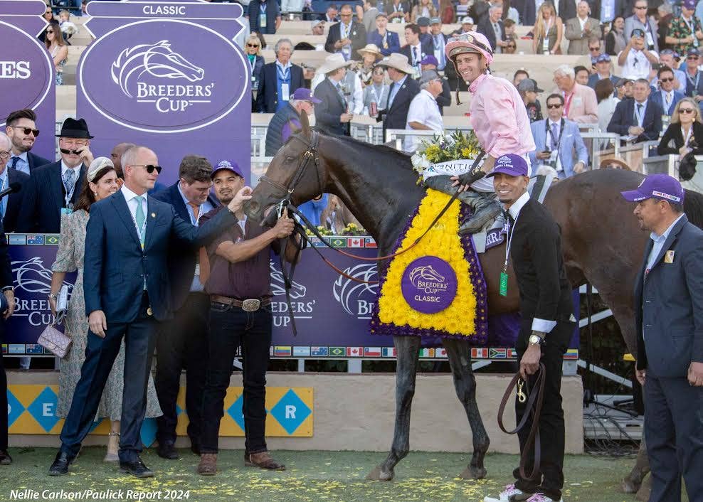Sierra Leone, Fierceness Join Top 10 Of LONGINES World's Best Racehorse ...