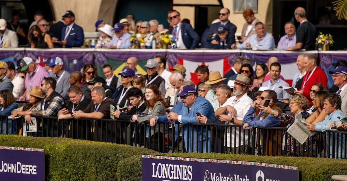 FanDuel TV Plans Over 50 Hours Of Breeders’ Cup Coverage - Paulick ...