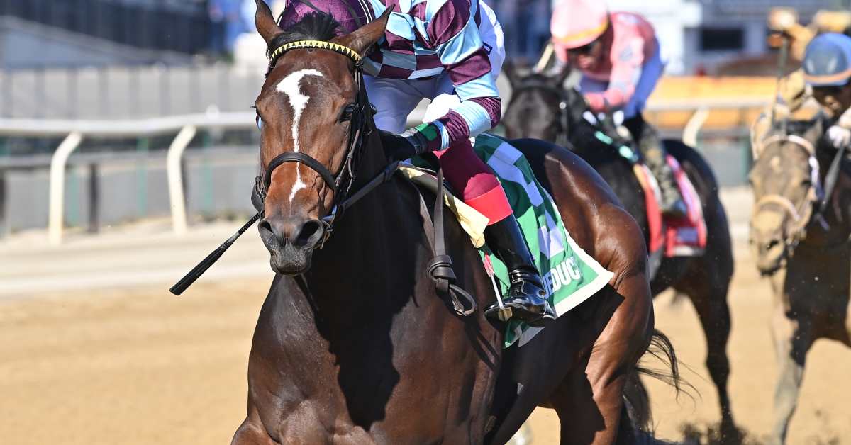 'She's Special': Front-Running Filly Shoot It True Defeats Males In ...