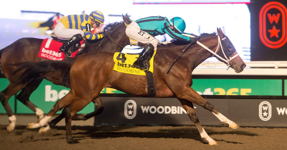 Millionaires Nobals, Gigante Headline Turf Stakes At Fair Grounds ...