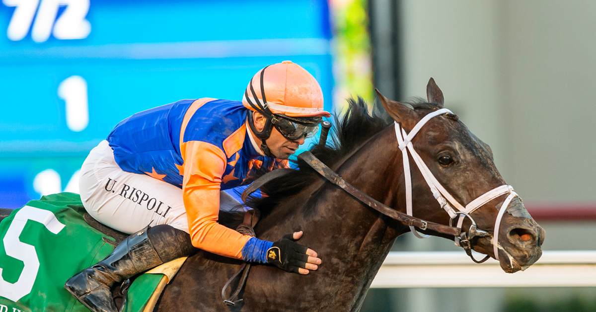 Bloodlines Presented By Walmac Farm: Bob Hope Winner Bullard Represents ...