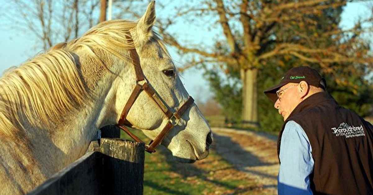 Old Friends To Host 10th Anniversary Celebration Of Silver Charm’s Arrival - Paulick Report ...