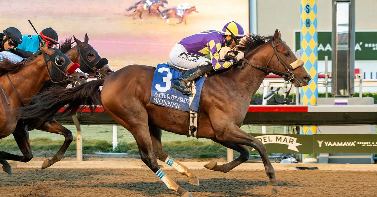 Skinner Gets His Native Diver Win - Paulick Report | Latest news and ...