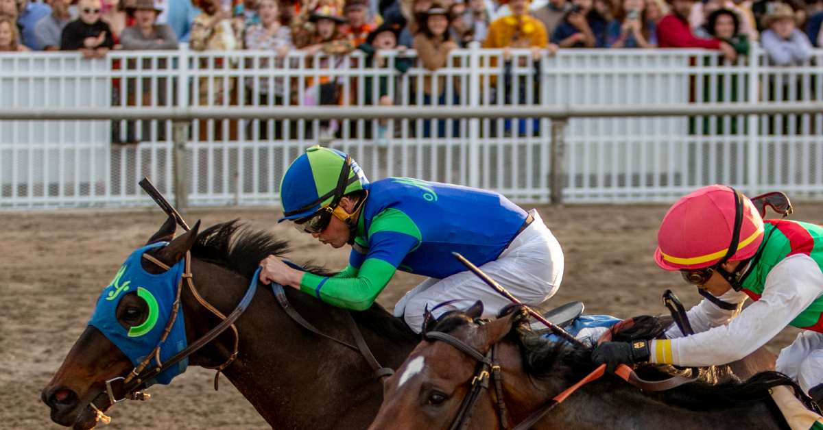 'Such A Cool Horse': Miles Ahead Repeats in Thanksgiving Classic At ...