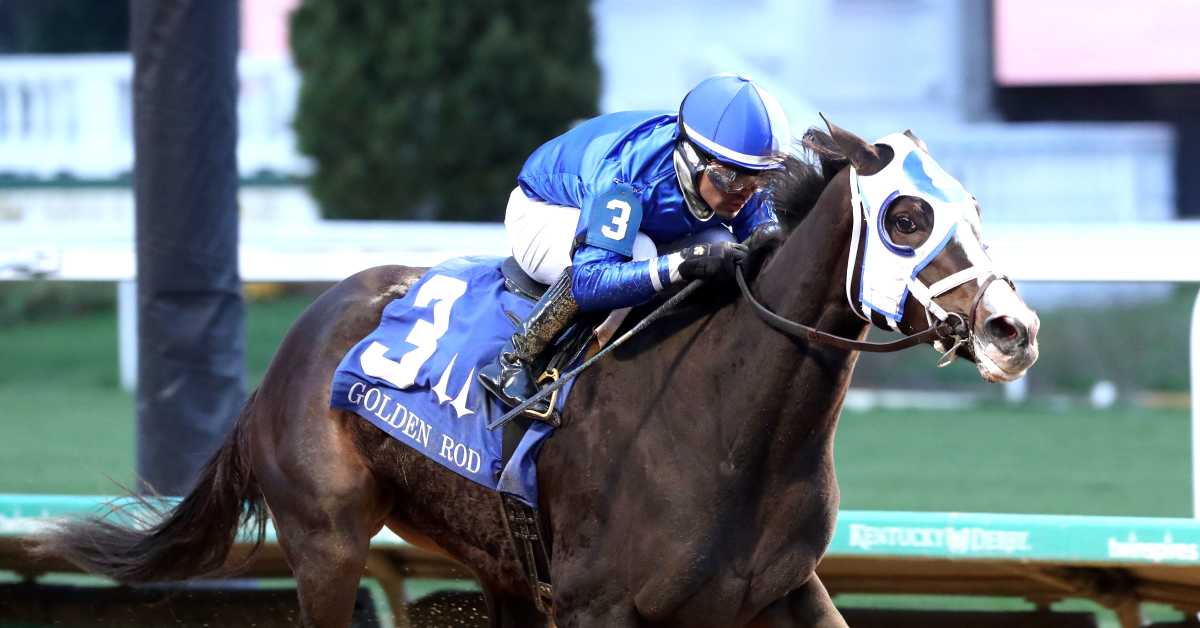 'Full Of Class': Undefeated Good Cheer Launches 3-Year-Old Campaign In ...