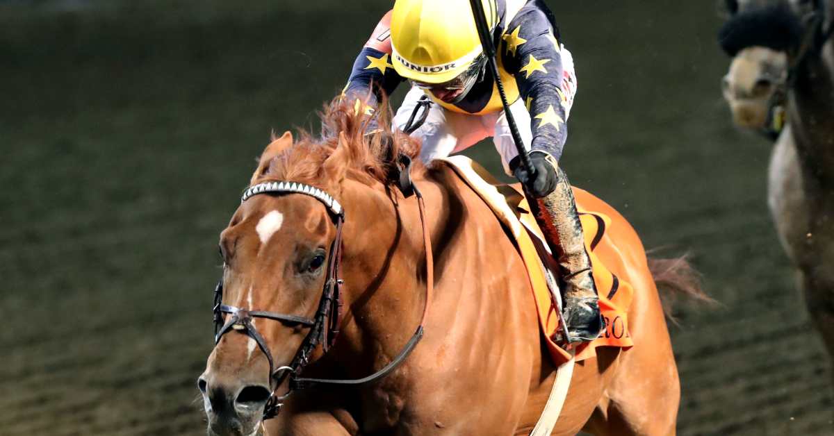 Scotland Wins Inaugural Cherokee Mile To Bring Curtain Down On ...