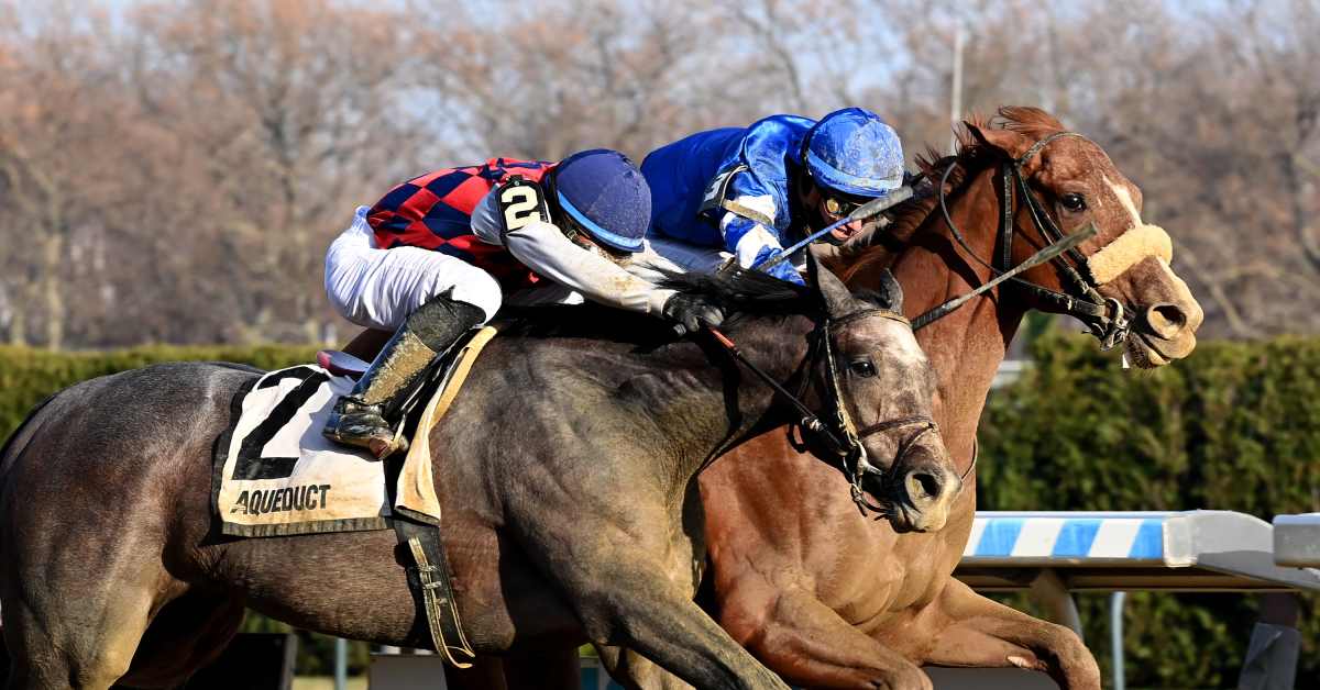 Remsen Winner Poster, Turfway Standout California Burrito Among 12 For ...