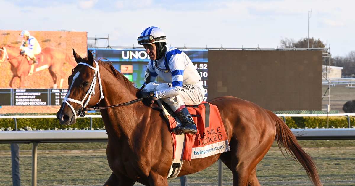 Todd Pletcher Eyeing Pegasus World Cup With Locked, Crupi - Paulick ...