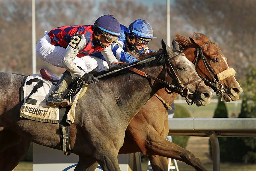 ‘More Opportunities Out Here’: Trainer Eoin Harty Exits California For ...