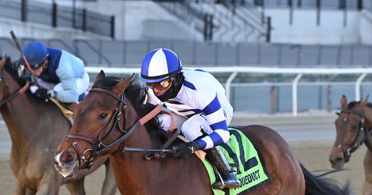 Maiden Winner Delightful Claire Makes Stakes Bow In Prioress - Paulick ...