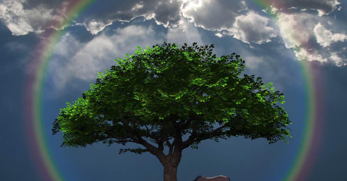 What's Your Horse's Favorite Color? Researchers Suggest It May Be ...