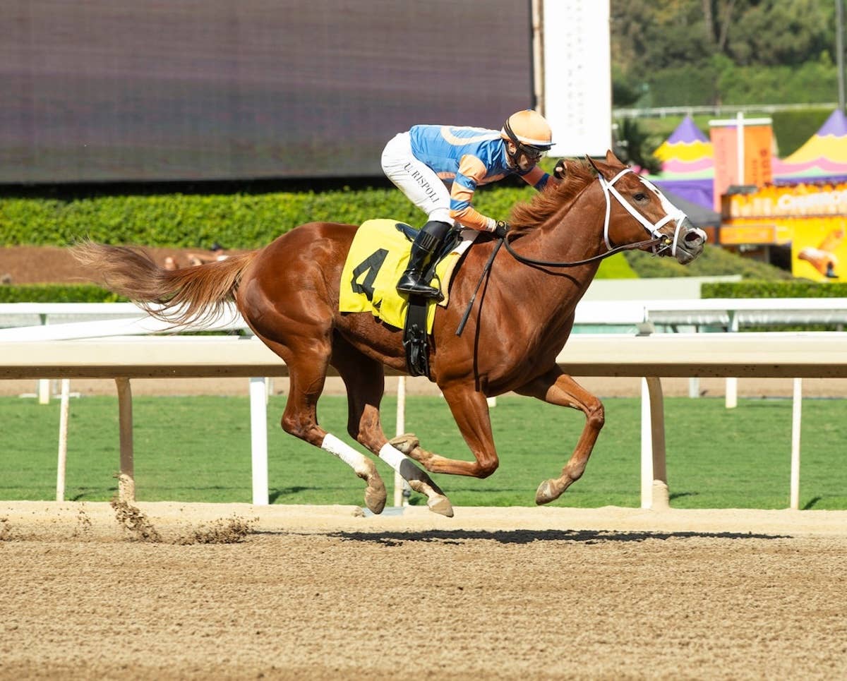 Razor-Sharp Accuracy Tackles Grade 1 Company In Santa Anita's La Brea ...