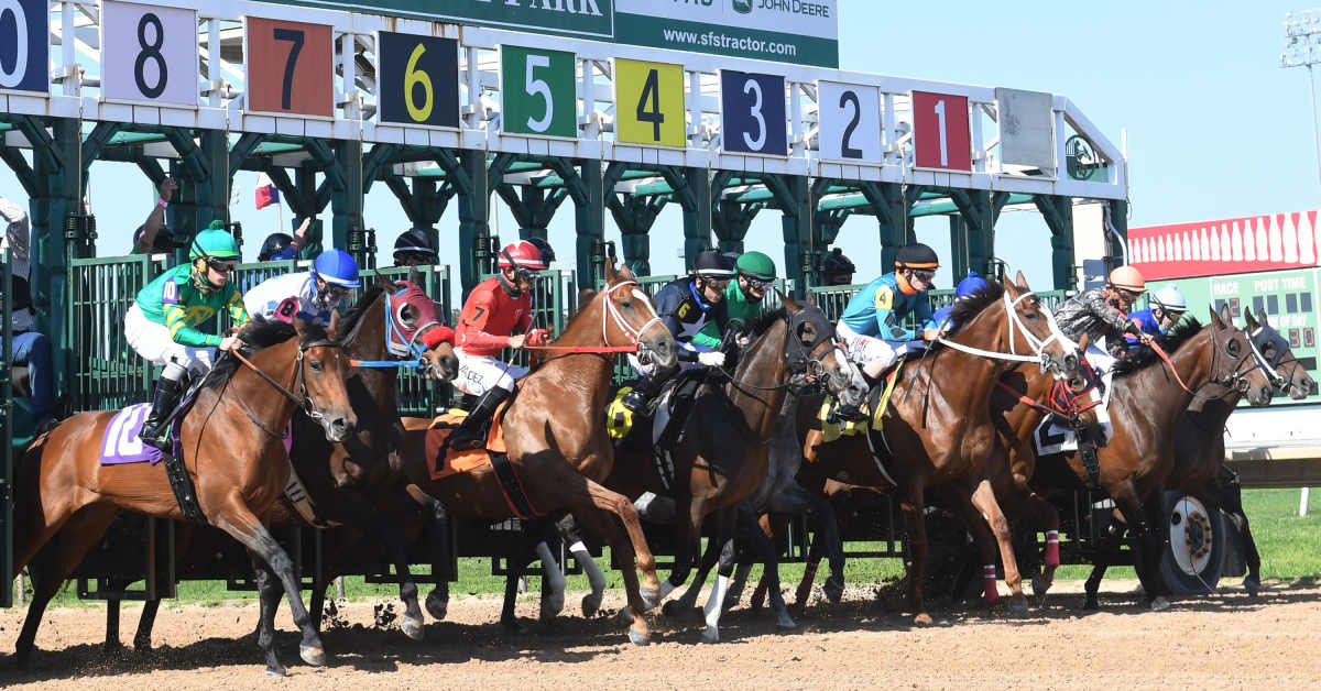 Texas Champions Day To Feature Seven Stakes Races At Sam Houston ...