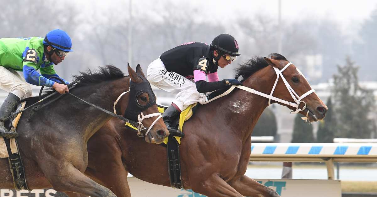 Game Maximus Meridius Earns First Stakes Win In Gravesend - Paulick ...